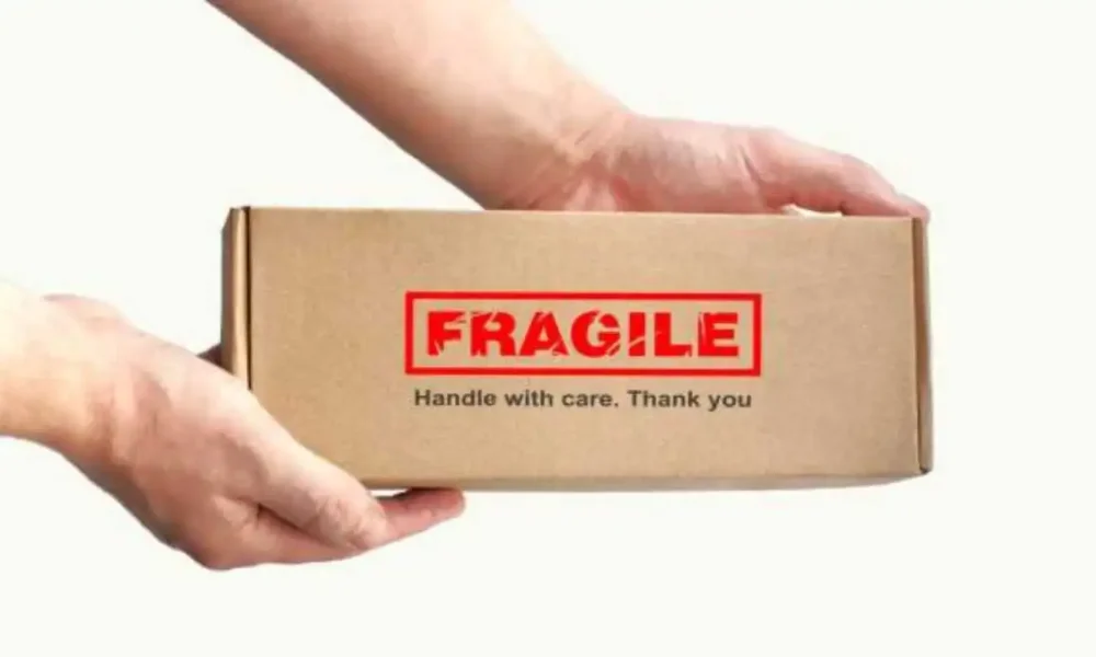 Moving Large and Fragile Items: Safe Handling Tips for Delicate Possessions